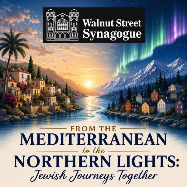 Mediterranean to Northern Lights Series - Walnut